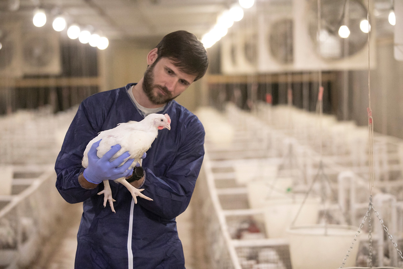 Feeding the future | Leaders in Innovation